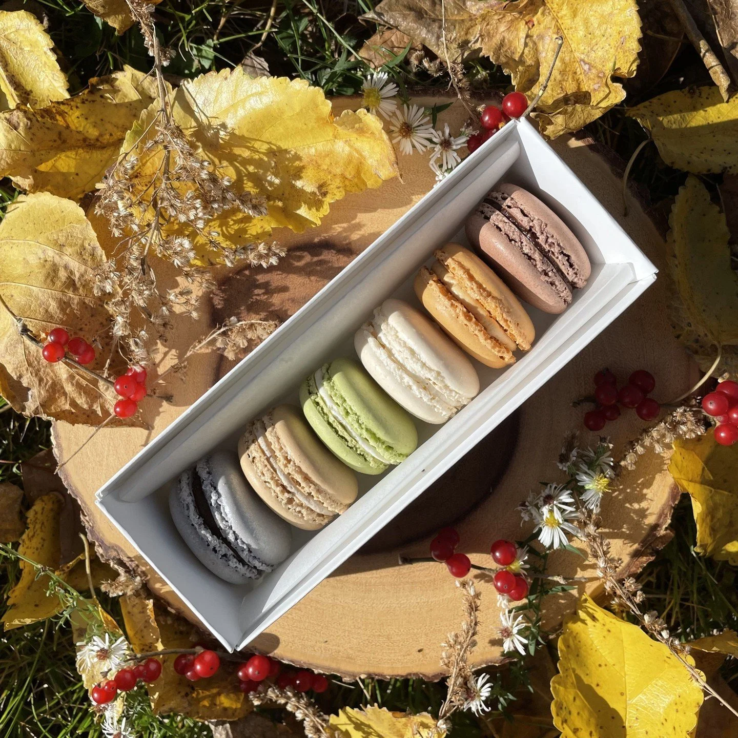 Nathaniel Reid Bakery