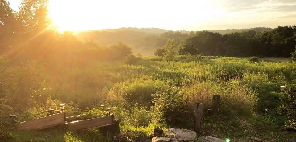 Habitat Recovery Project