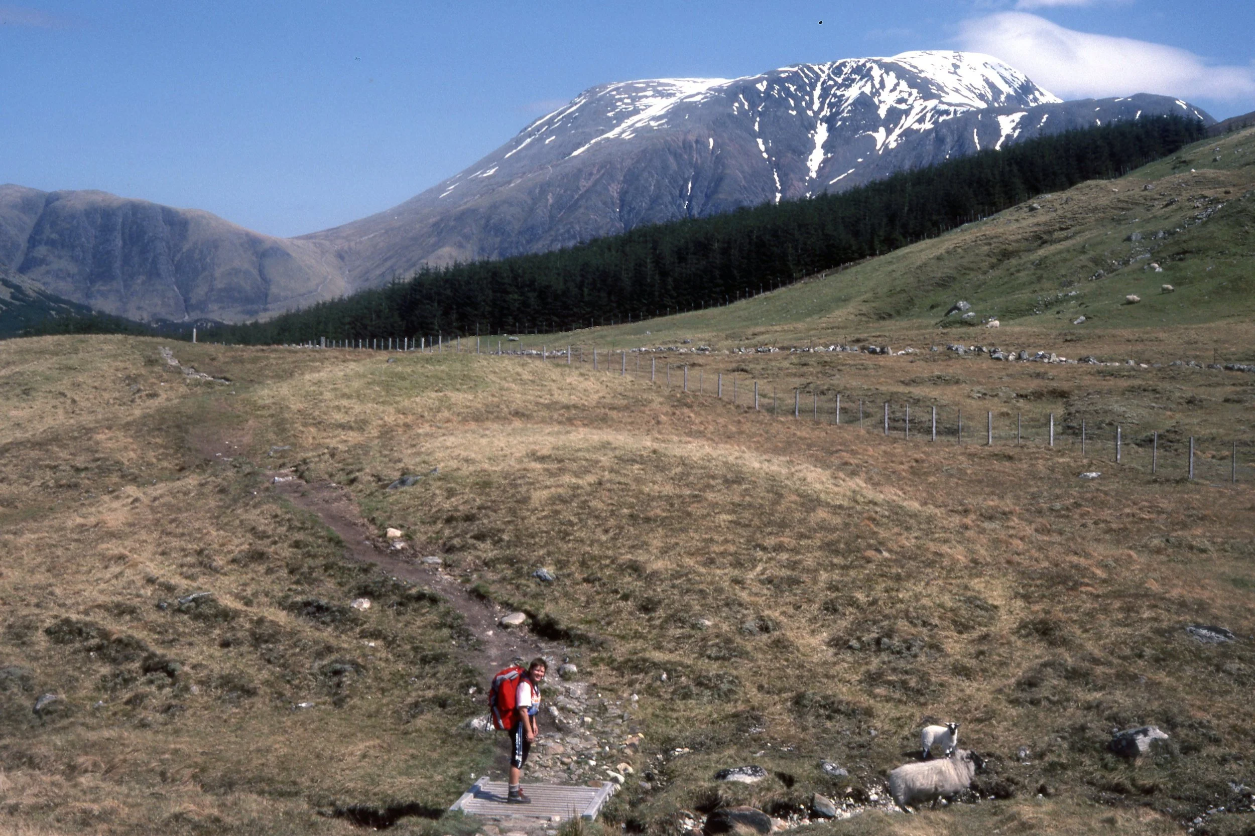 The Scottish West Highland Way — Long Walks, Organics & African Stuff