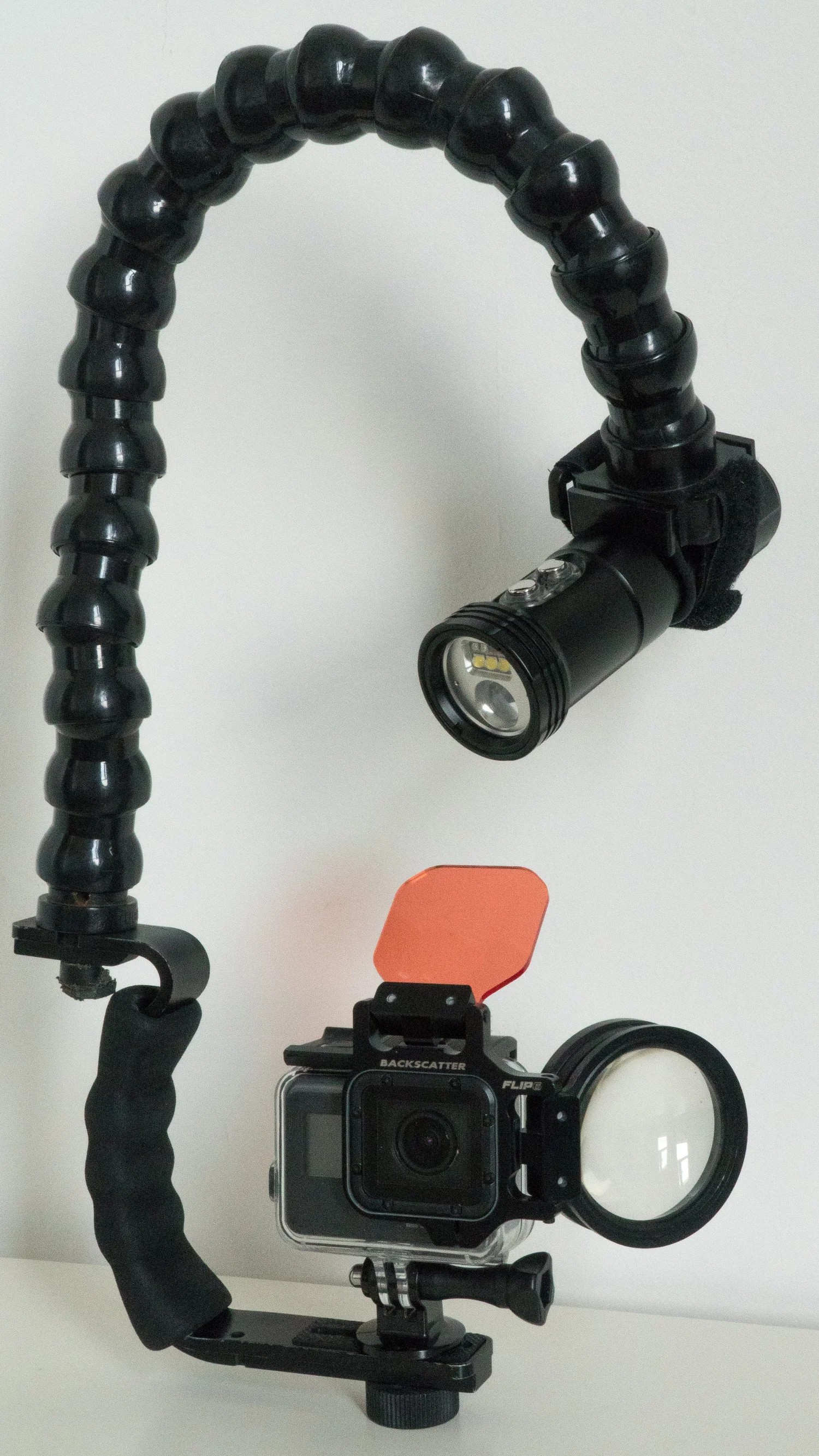 Best Action Cameras for Scuba Diving 2025: DJI, GoPro, Insta360 ...