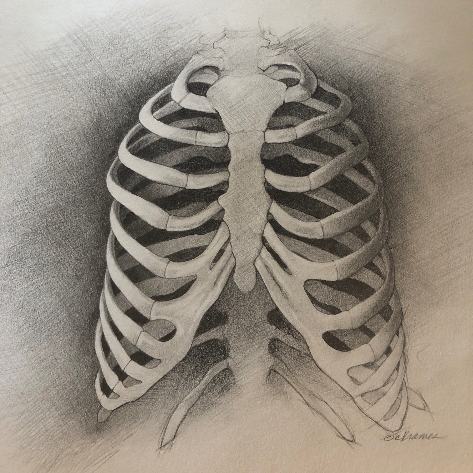 THE RIBS - 24 WAYS TO SAY THE HEART IS MY HOME — David Lauterstein