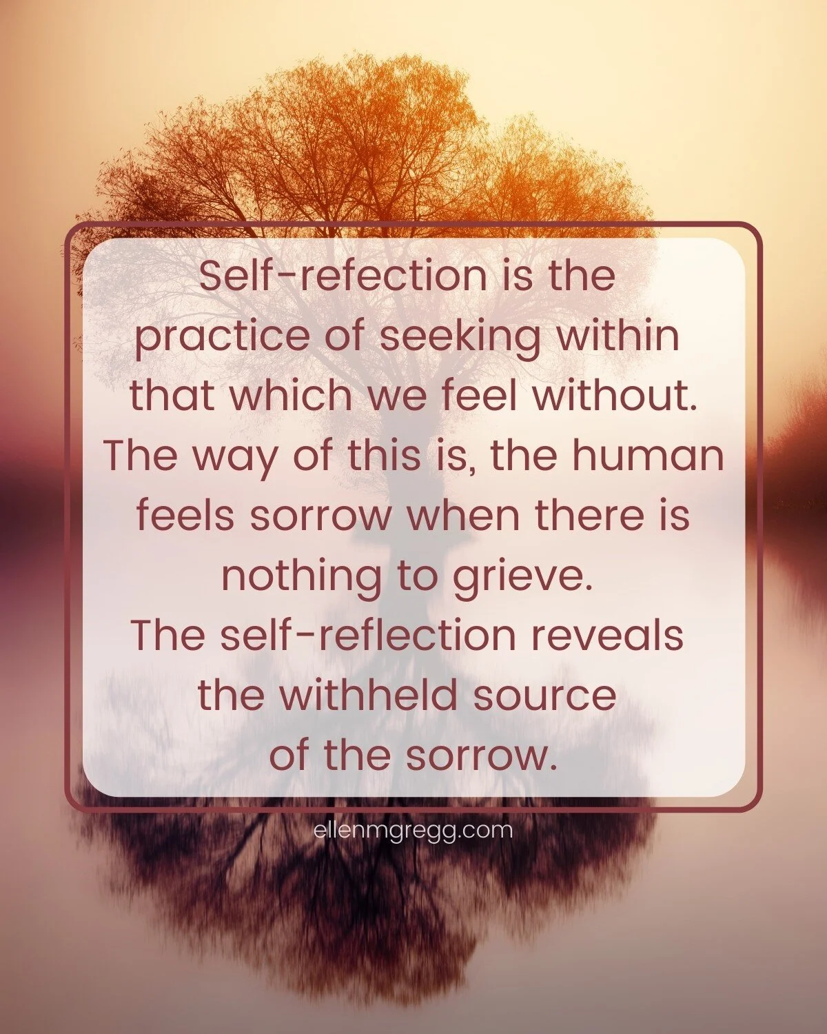 Self-Reflection — Ellen M. Gregg - Channeled Guidance & Healing
