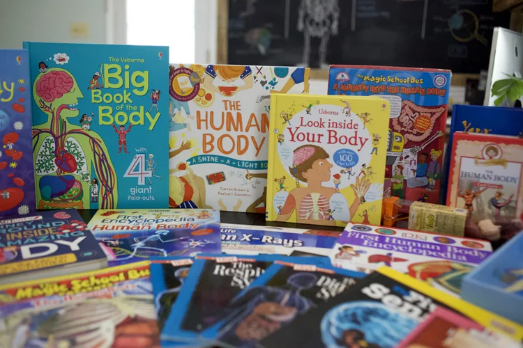 Creating A Homeschool Unit: The Human Body — This Gathered Nest