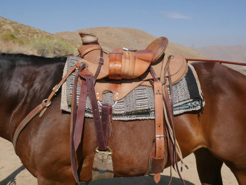 Pat's Slick Fork Saddle — The Disciplined Ride