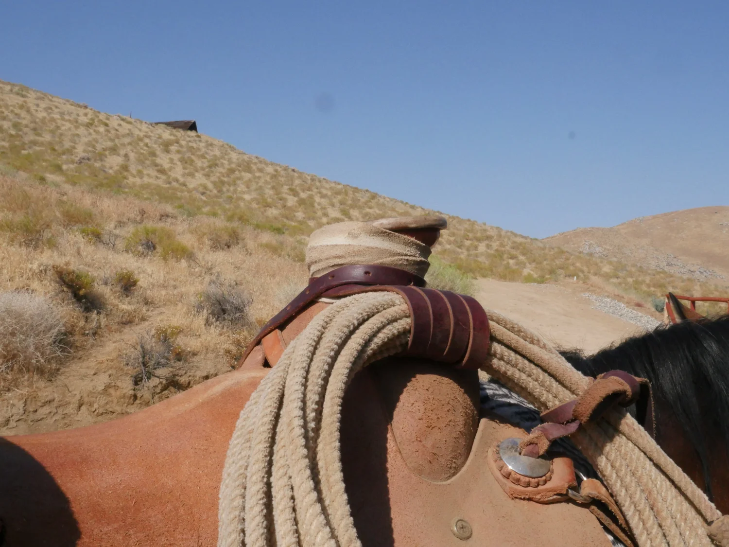Pat's Slick Fork Saddle — The Disciplined Ride