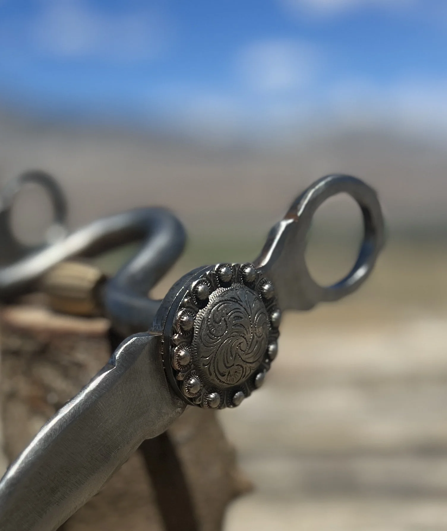 Pat's Western Bit — The Disciplined Ride