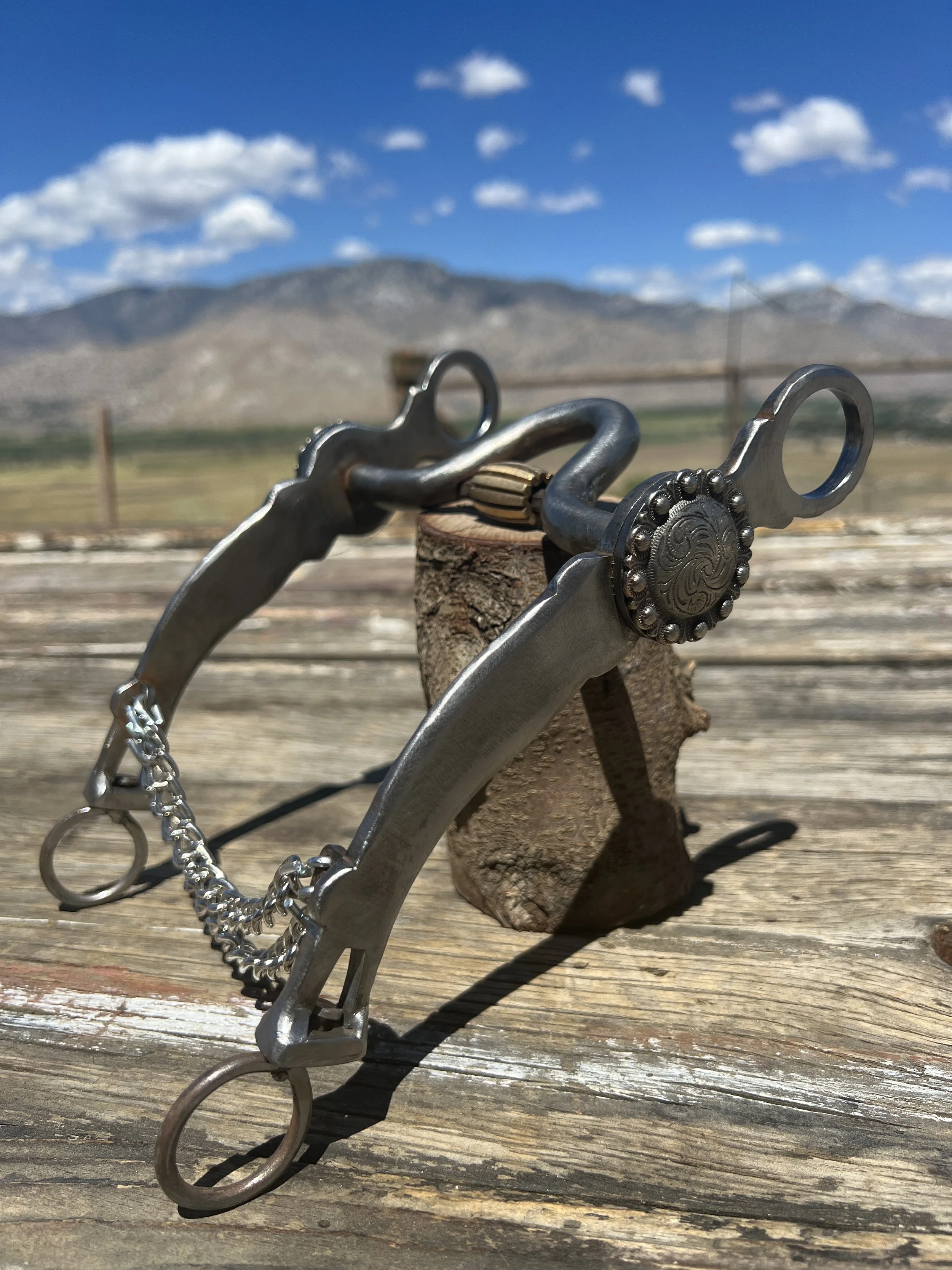 Pat's Western Bit — The Disciplined Ride