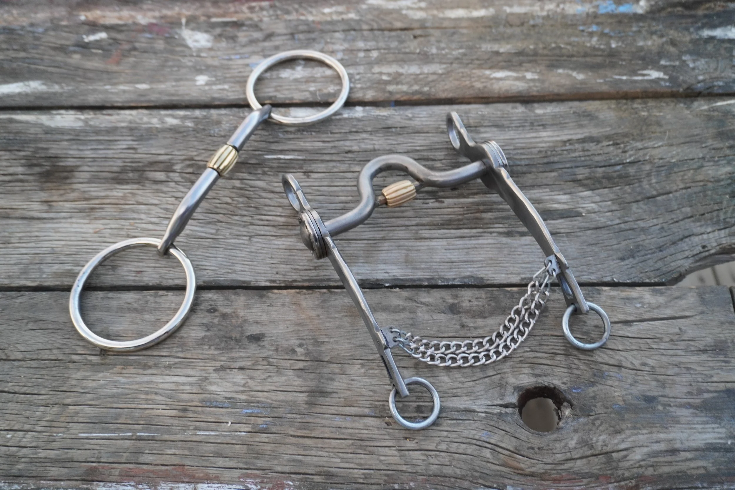 Store — The Disciplined Ride