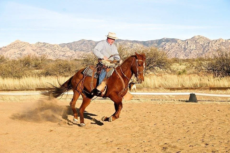 About — The Disciplined Ride