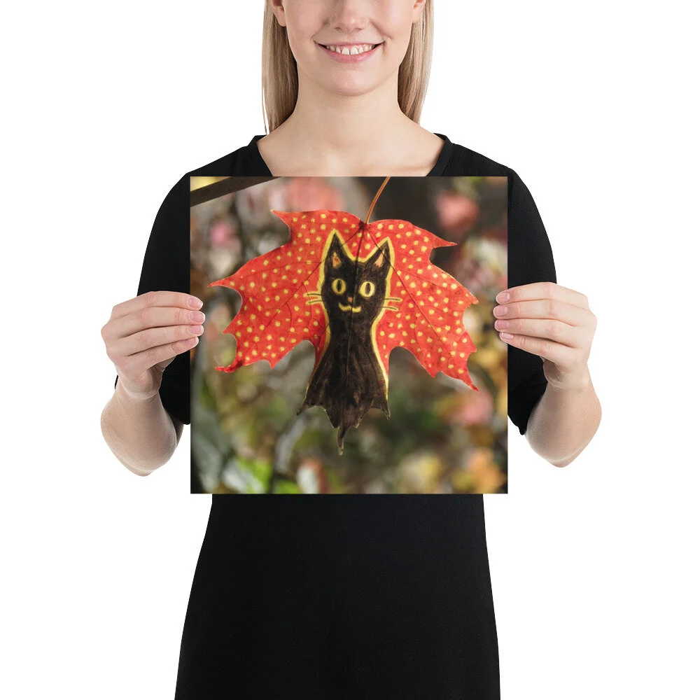 Star Cat — Sera Autumn