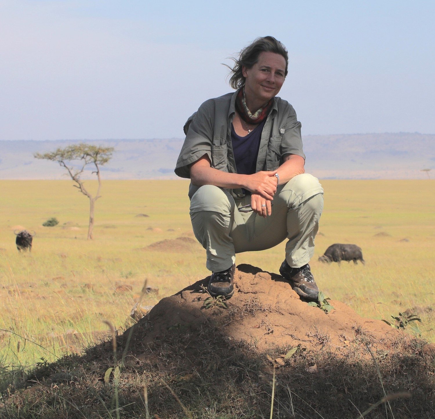 Kim Diment — Rowe Fine Art Gallery