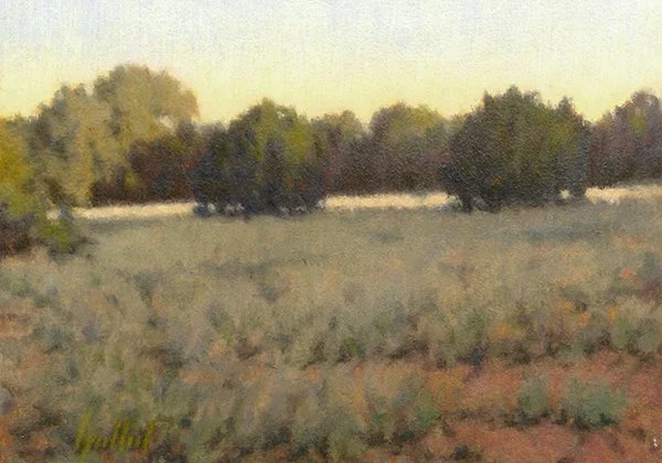 Lynn Heil — Rowe Fine Art Gallery