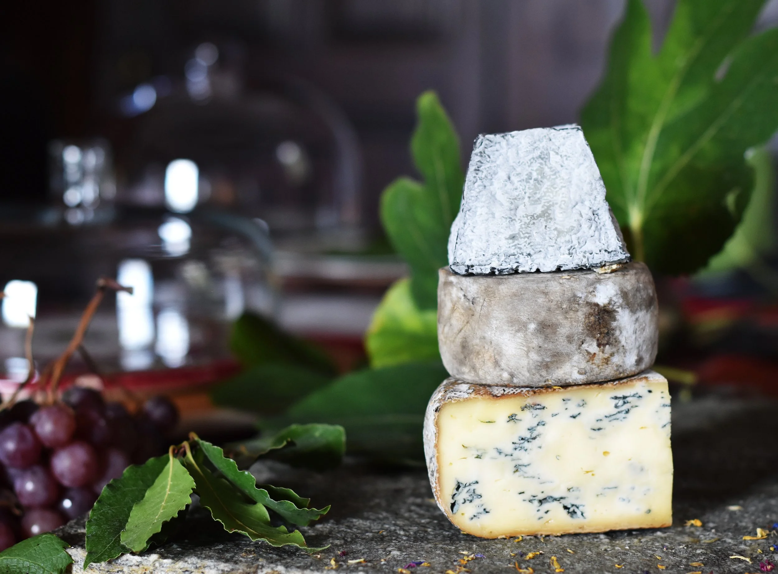 Cheese & Wine Tastings On Tour — Cheese Journeys