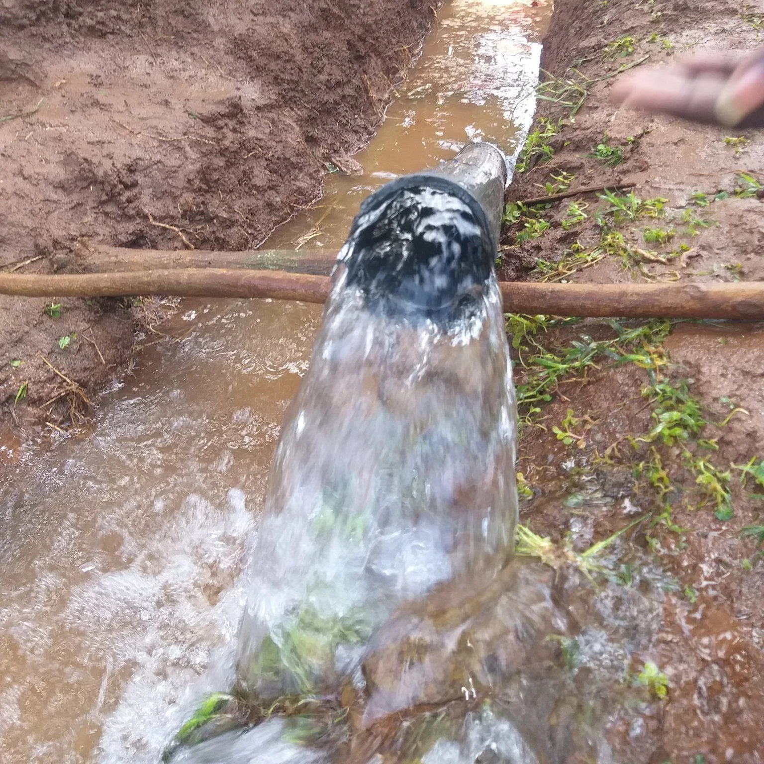 Spring Water To Reach Thousands! — WEEMA