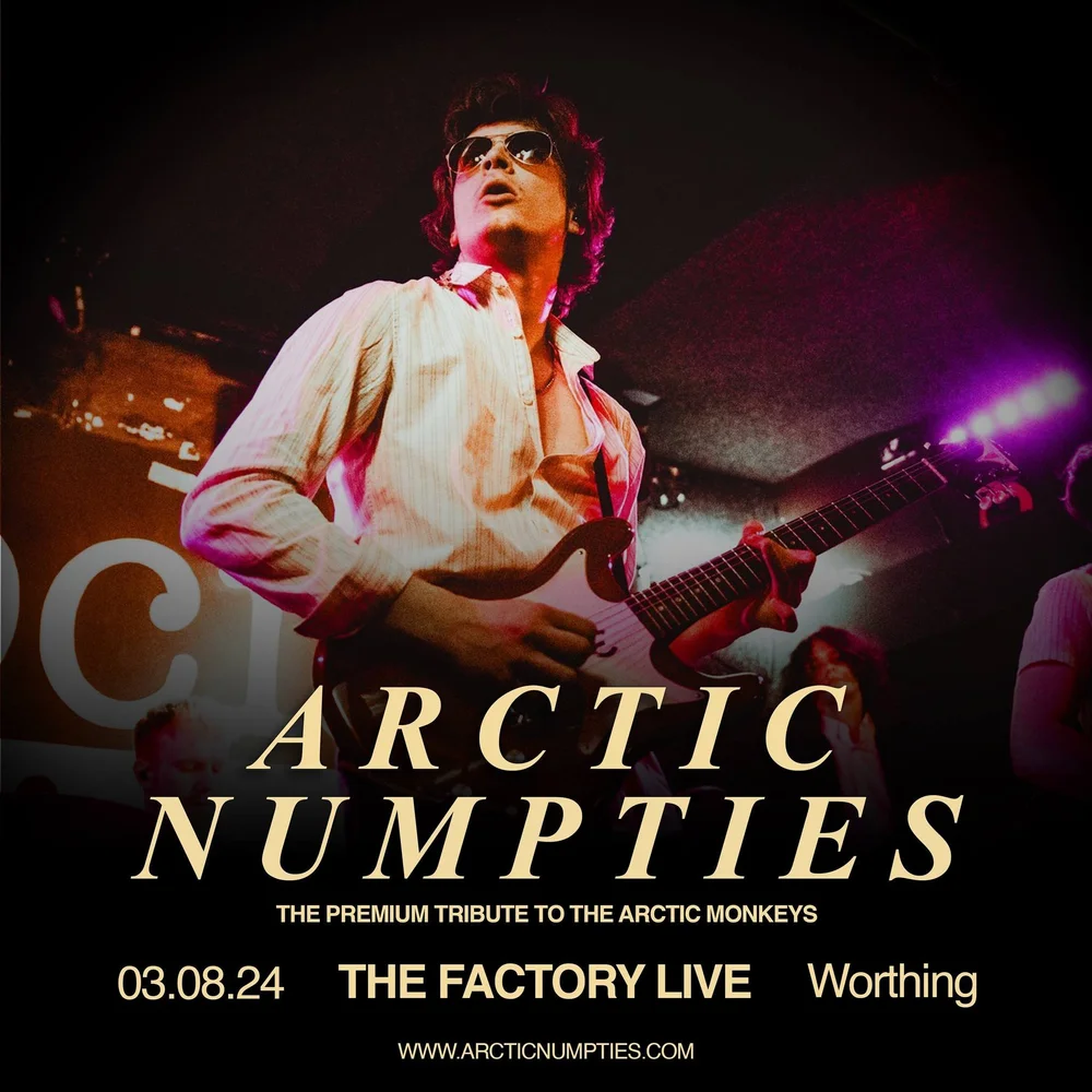 Arctic Numpties — The Factory Live