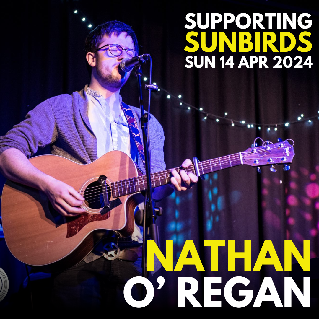 Sunbirds — The Factory Live