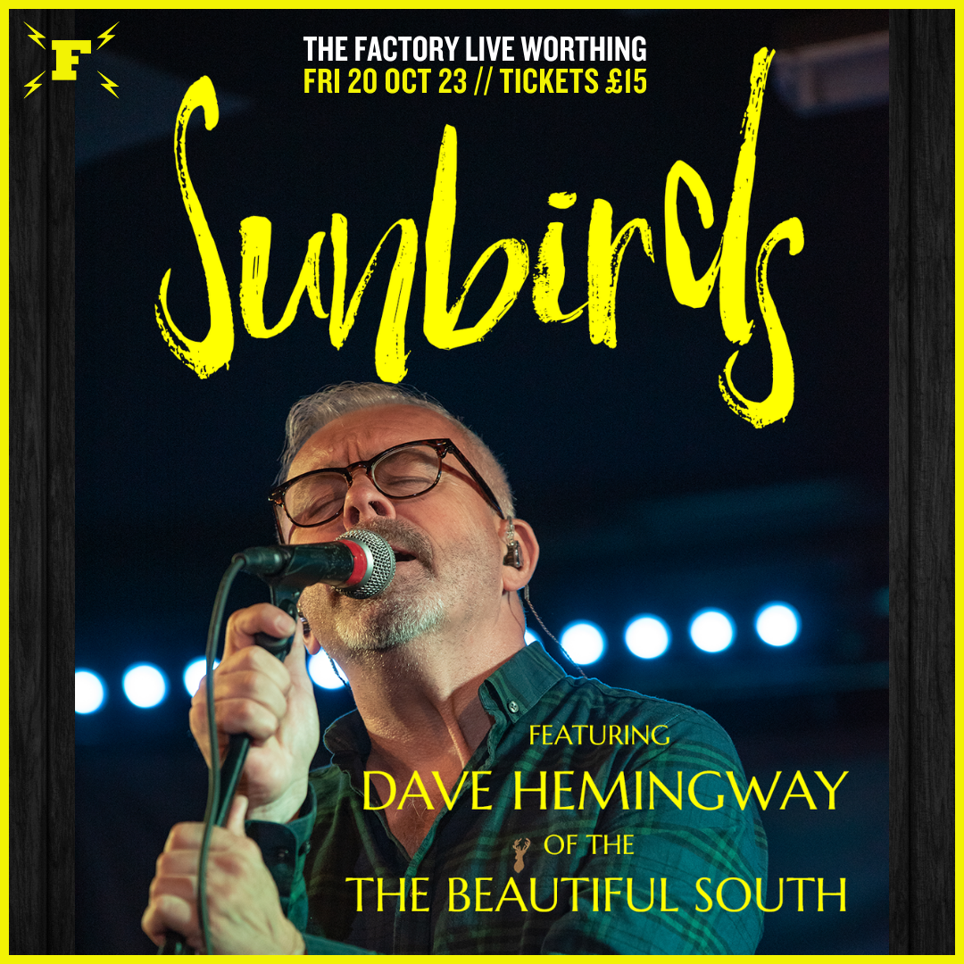Sunbirds + Scott Clay — The Factory Live