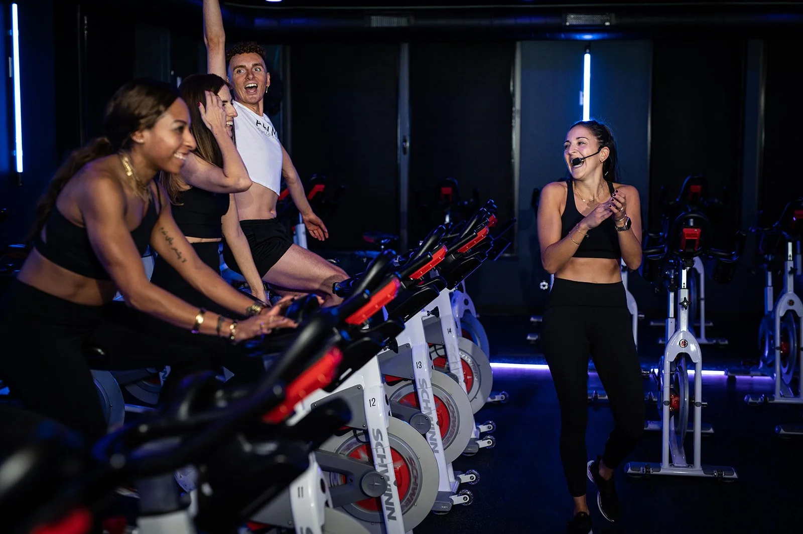 Ali F — Prime Cycle + Body