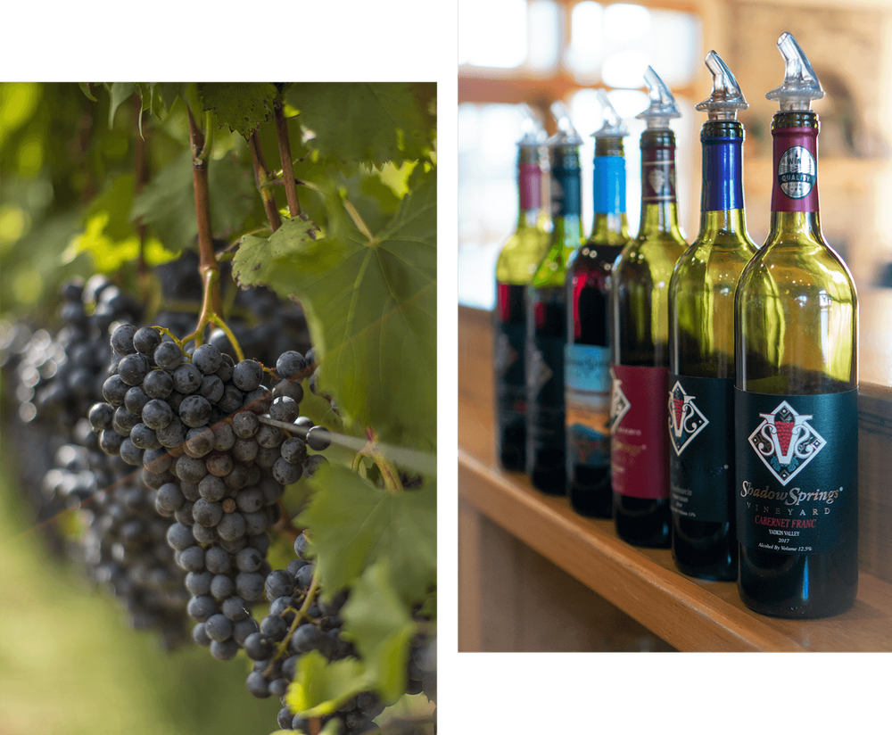Shadow Springs Vineyard