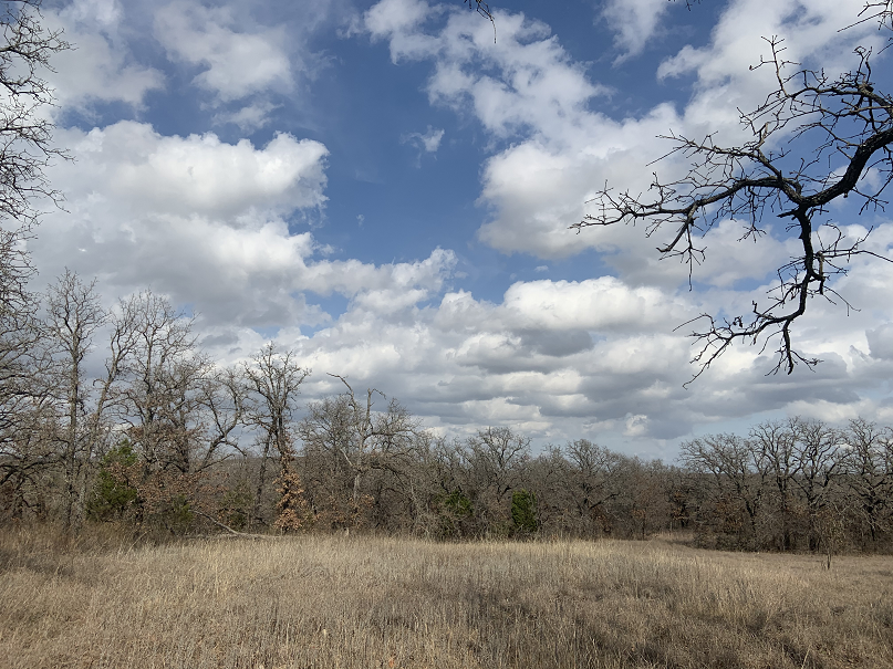 texas frontier trails