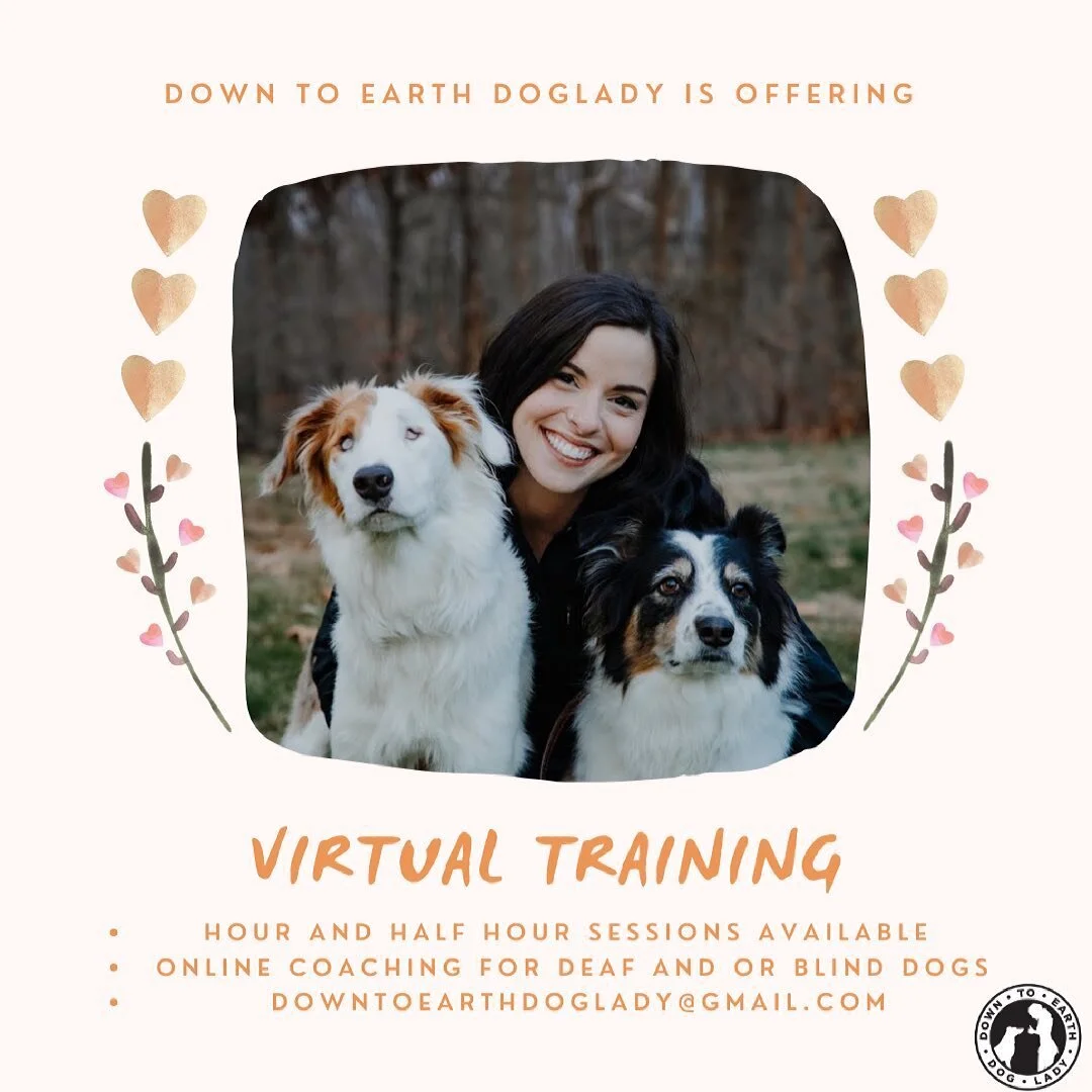 Down To Earth Dog Lady