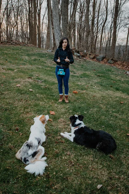 Down To Earth Dog Lady