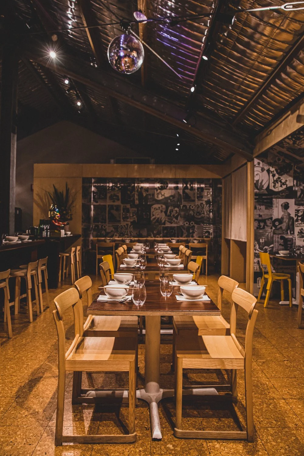 Yoko at home — Yoko