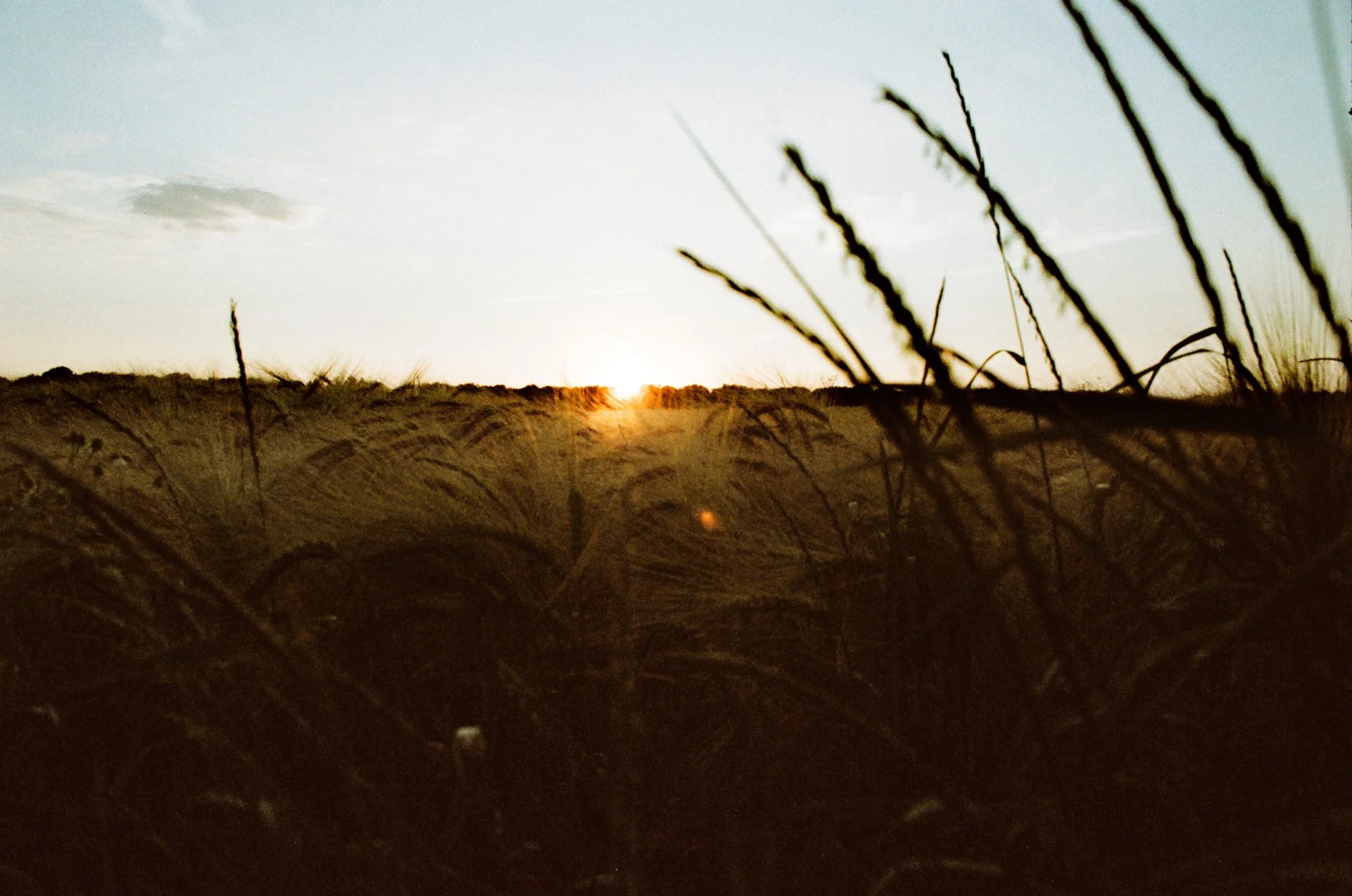 KONO! Color 400 — KONO Manufaktur®