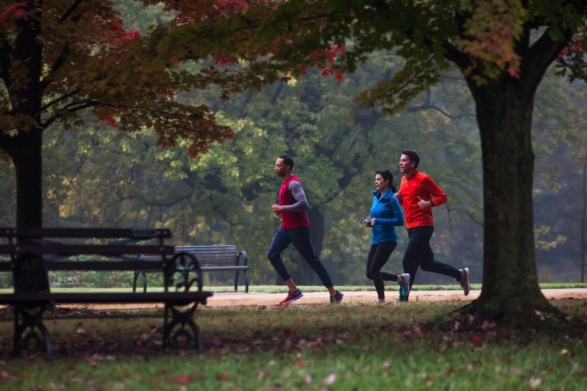 Precision Physical Therapy