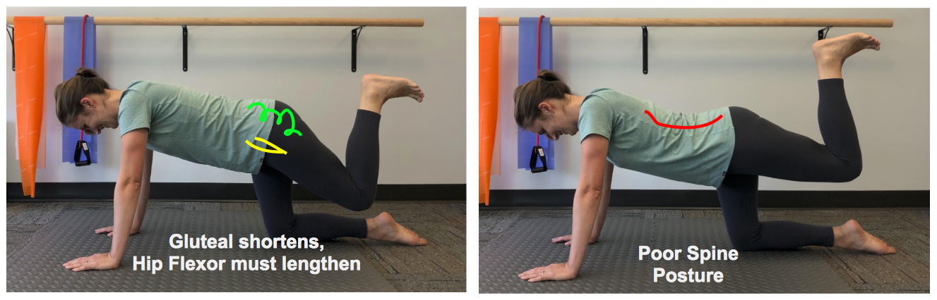 Pure Barre: Why is my leg lift so low? — Precision Physical Therapy
