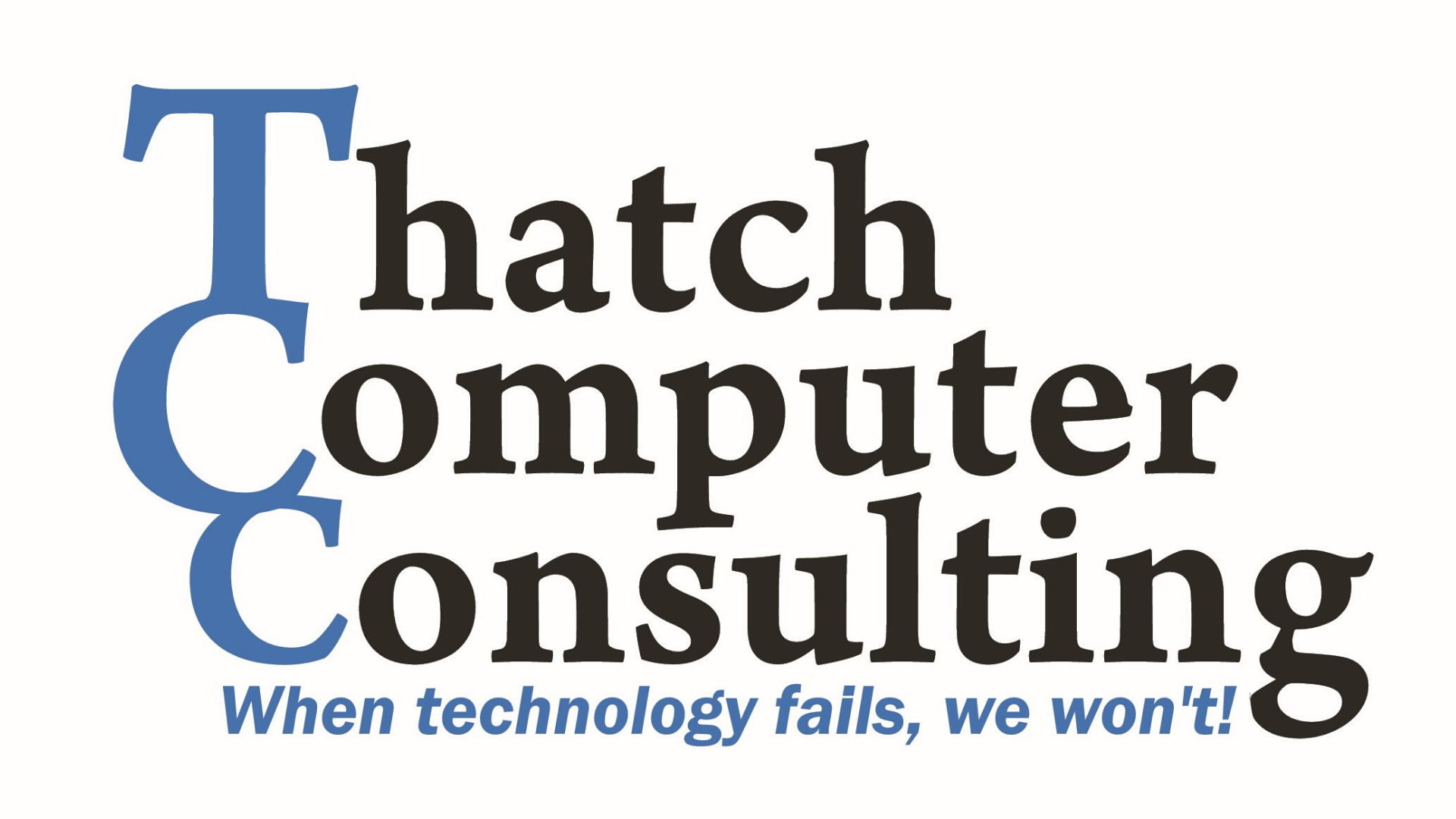 Thatch Computer Consulting | Commercial IT Consulting | Lansing, Michigan