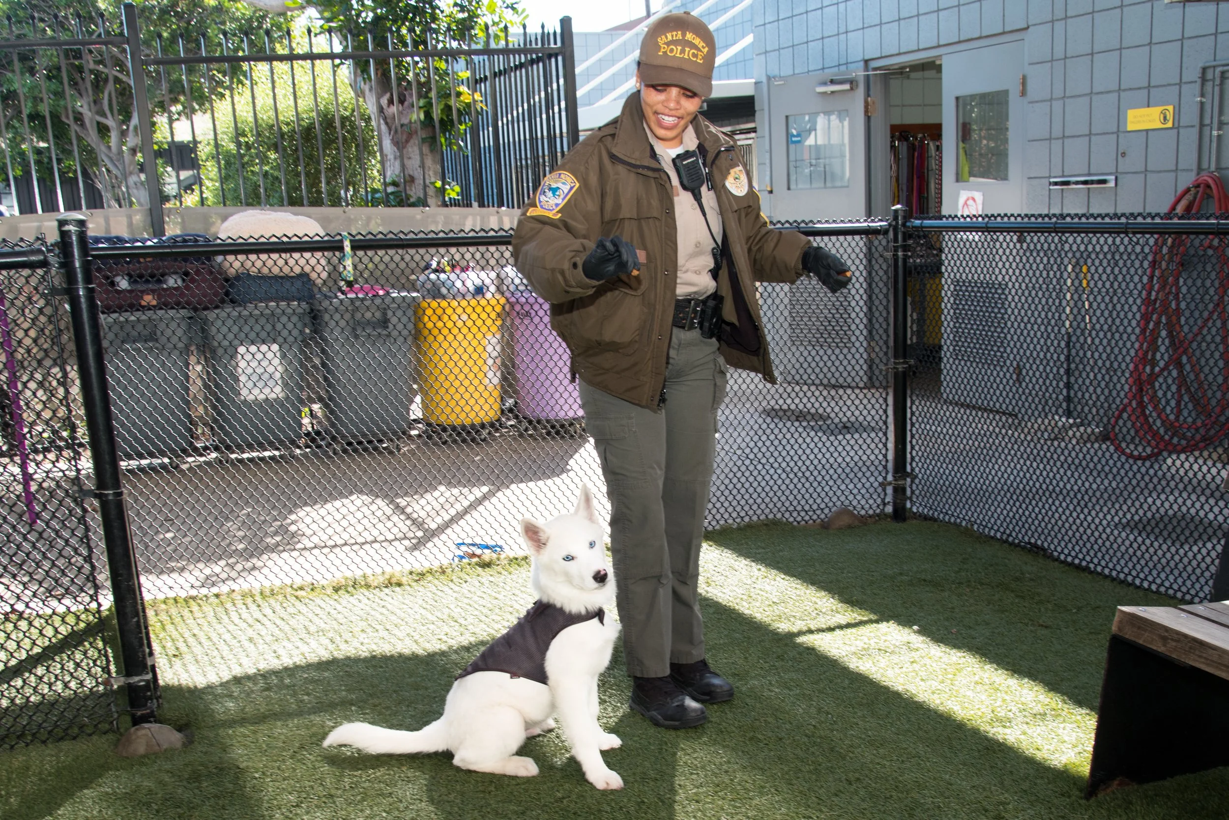 Donate — Santa Monica Animal Shelter Foundation