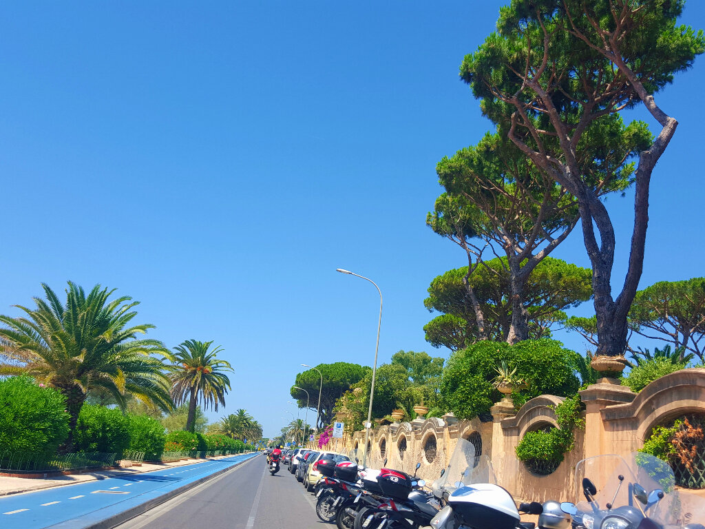 PHOTOGRAPHY — Michelle Parise