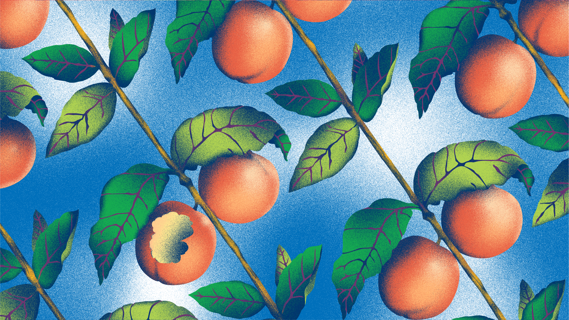 Bon Enfant • Site Officiel