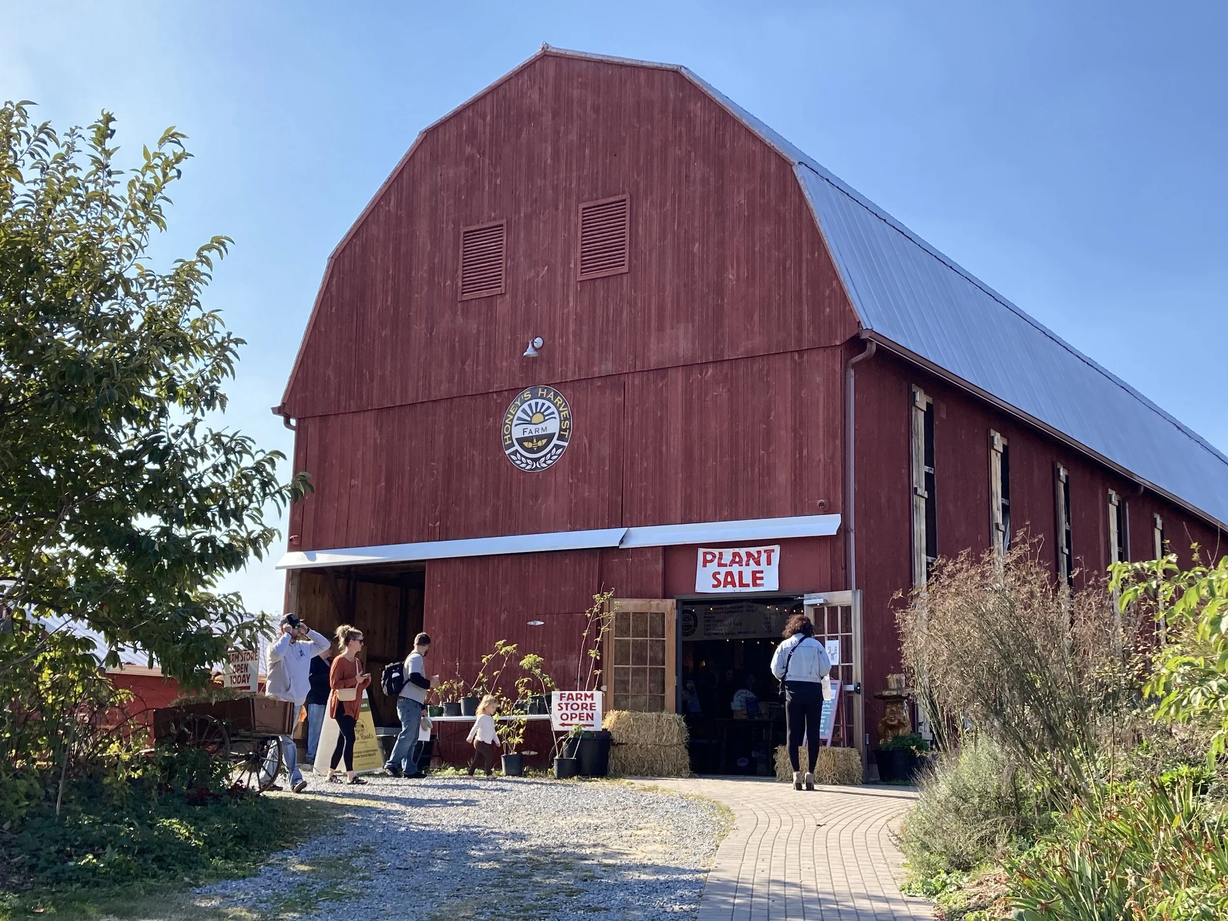 Sunday Farmers Market — Honey's Harvest Farm