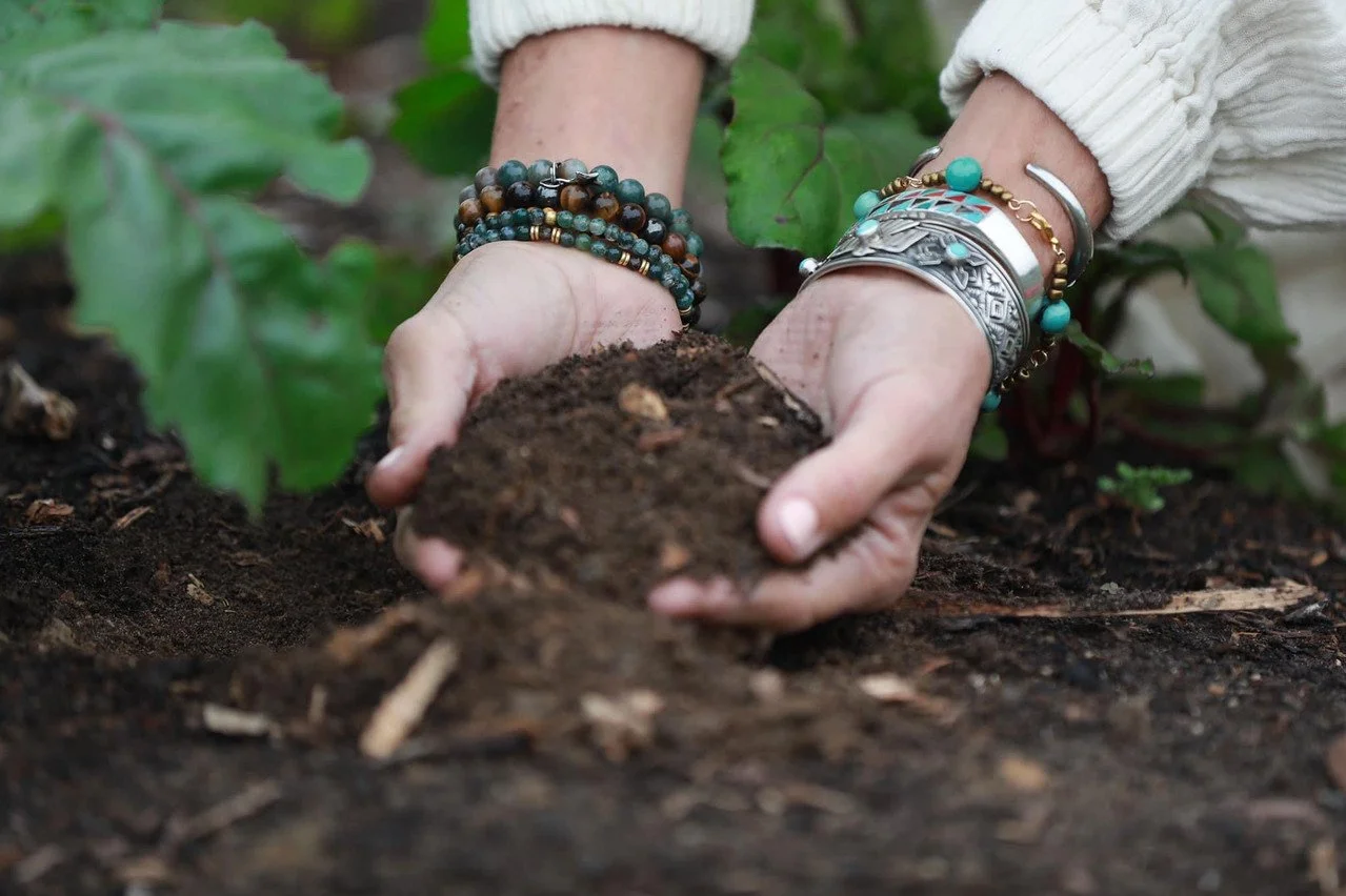 Why I Love Cooking with Foods Grown in Living Soil — Honey's Harvest Farm