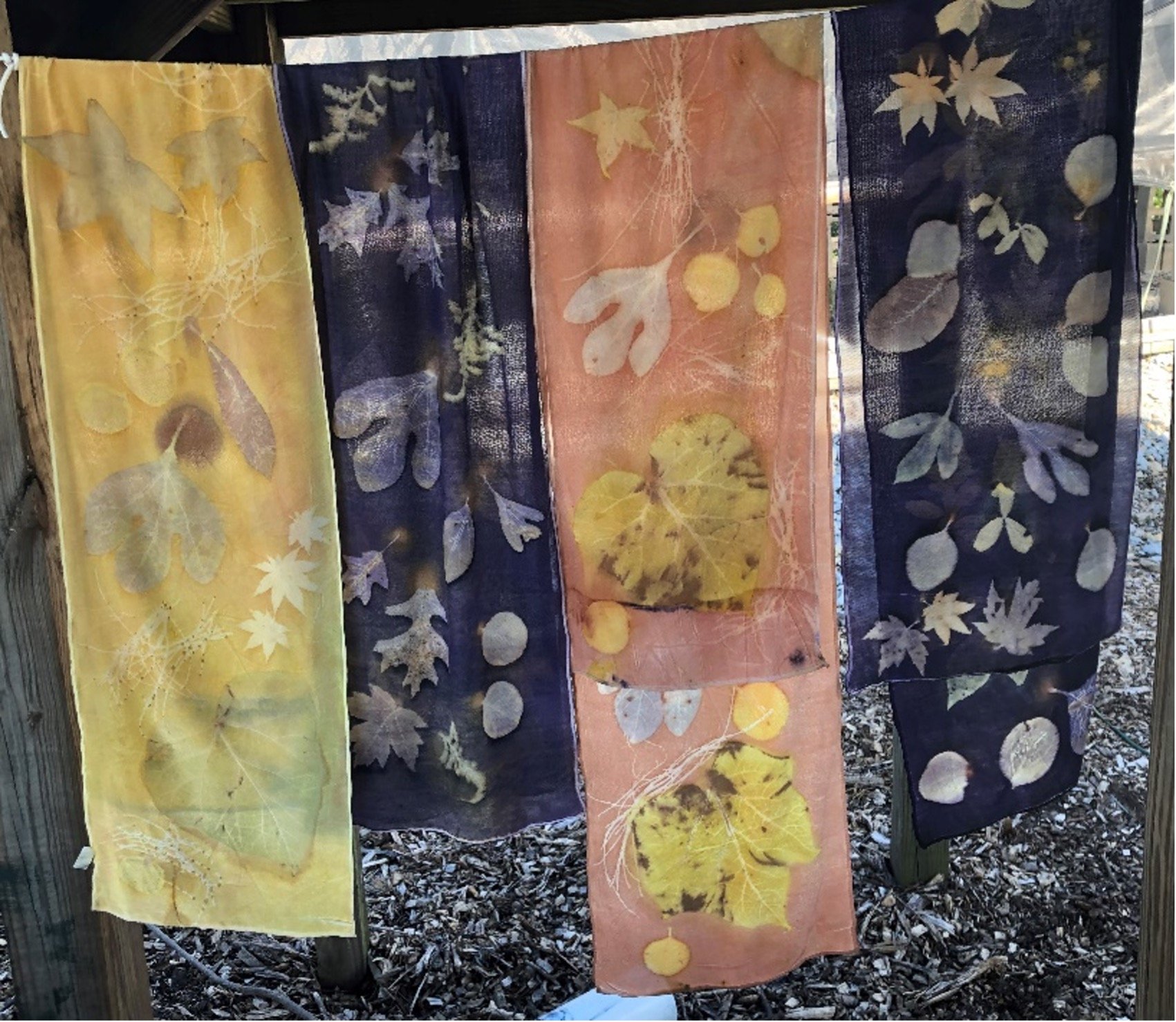 Events — Sequatchie Cove Farm