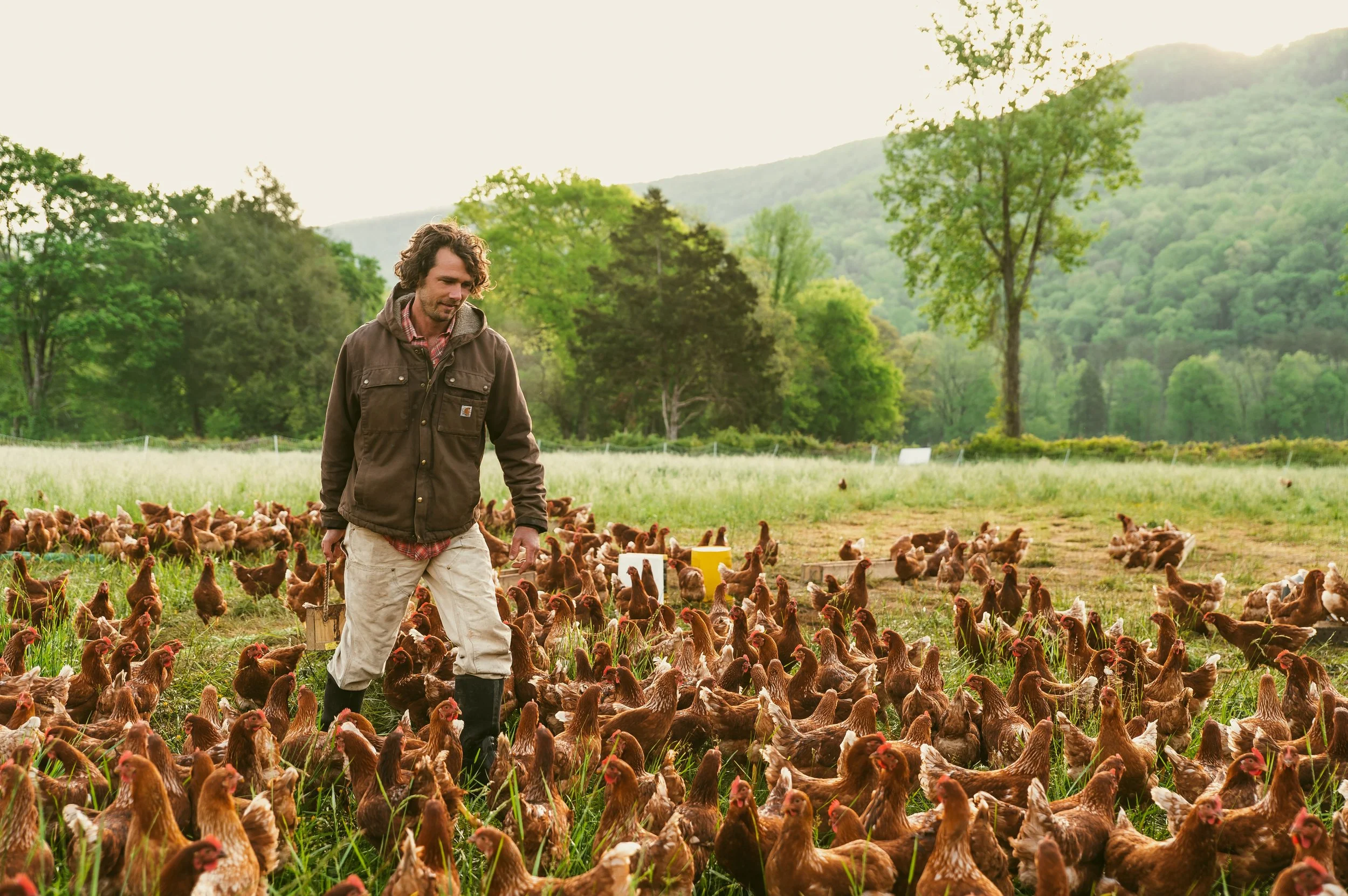 Sequatchie Cove Farm