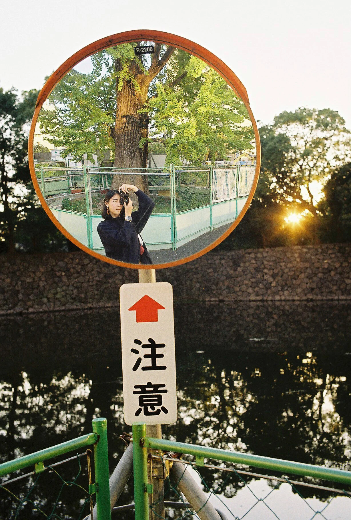 About Renee — Renee Cai