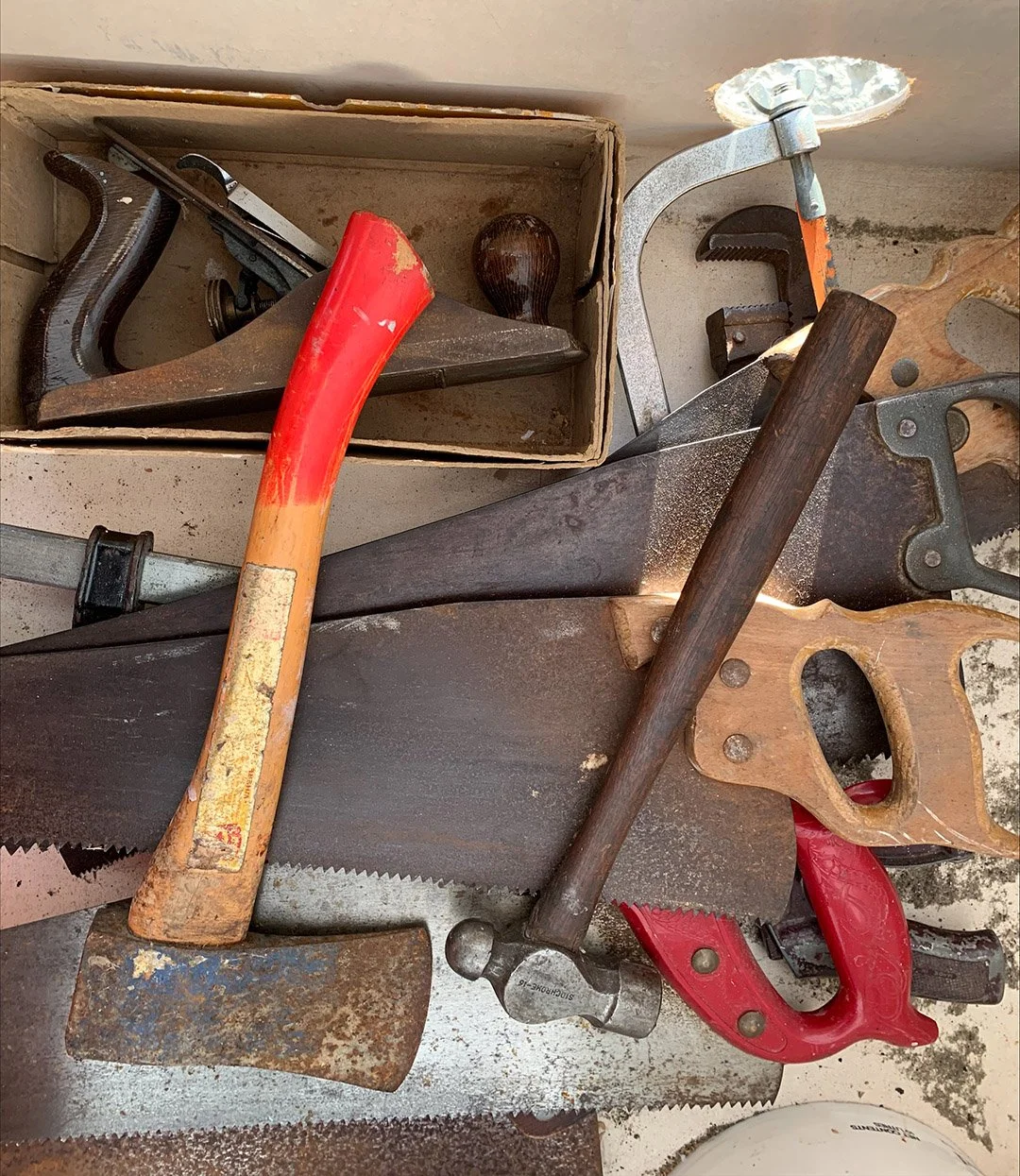 Tool donation - Sustainability Trust Wellington