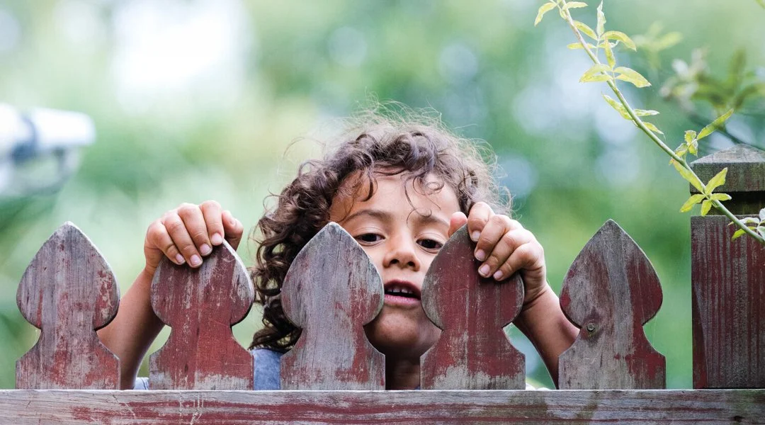 Insulation Wellington - Sustainability Trust Wellington