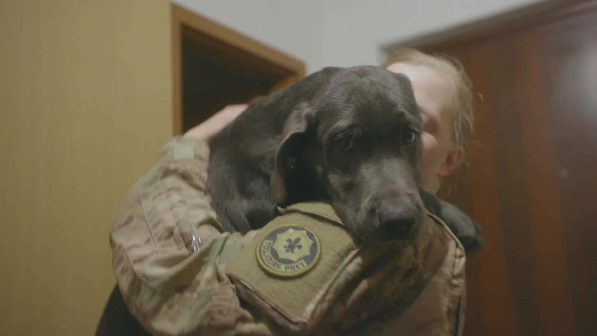 Geico | Welcome Home — KATIE QUINLISK