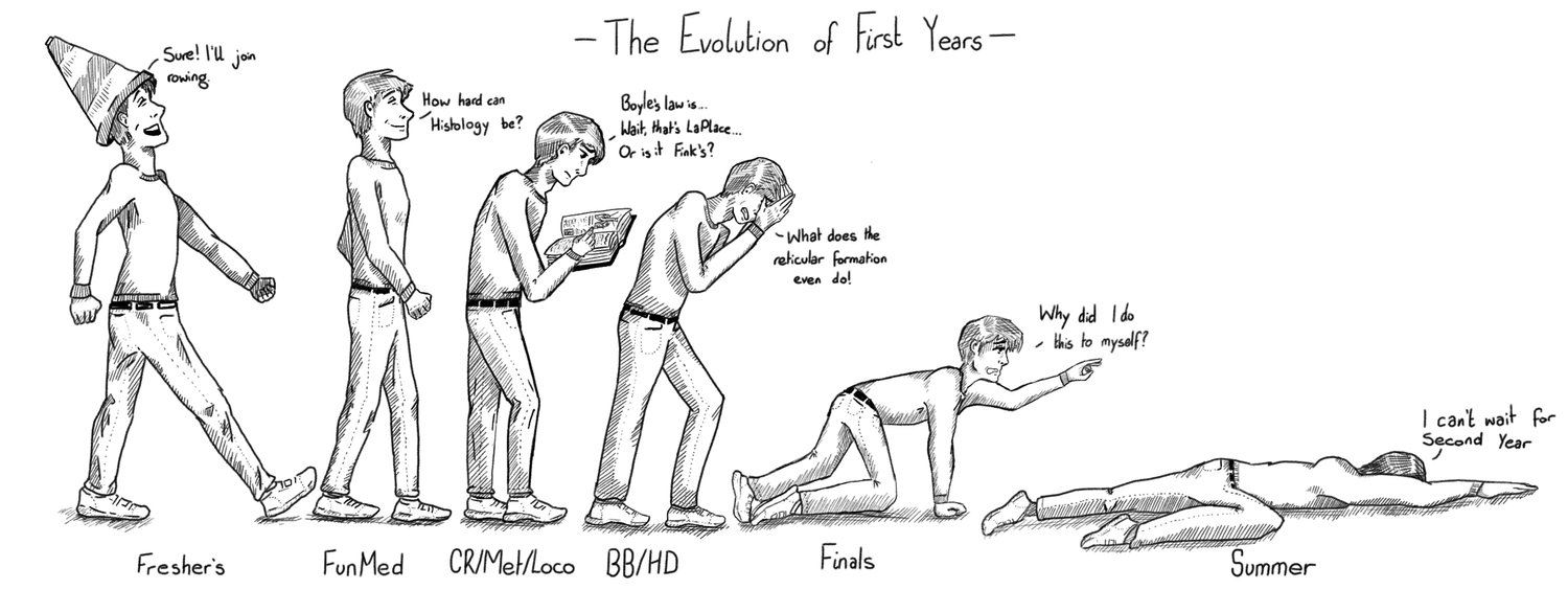 Cartoonology - The Evolution of First Years — Circadian