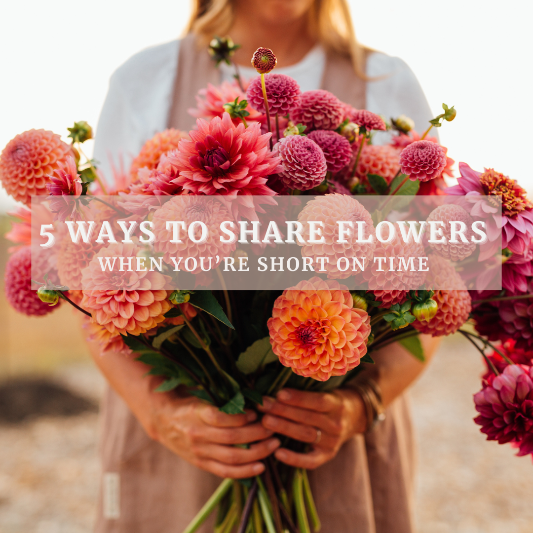 Blog — Growing Kindness Project