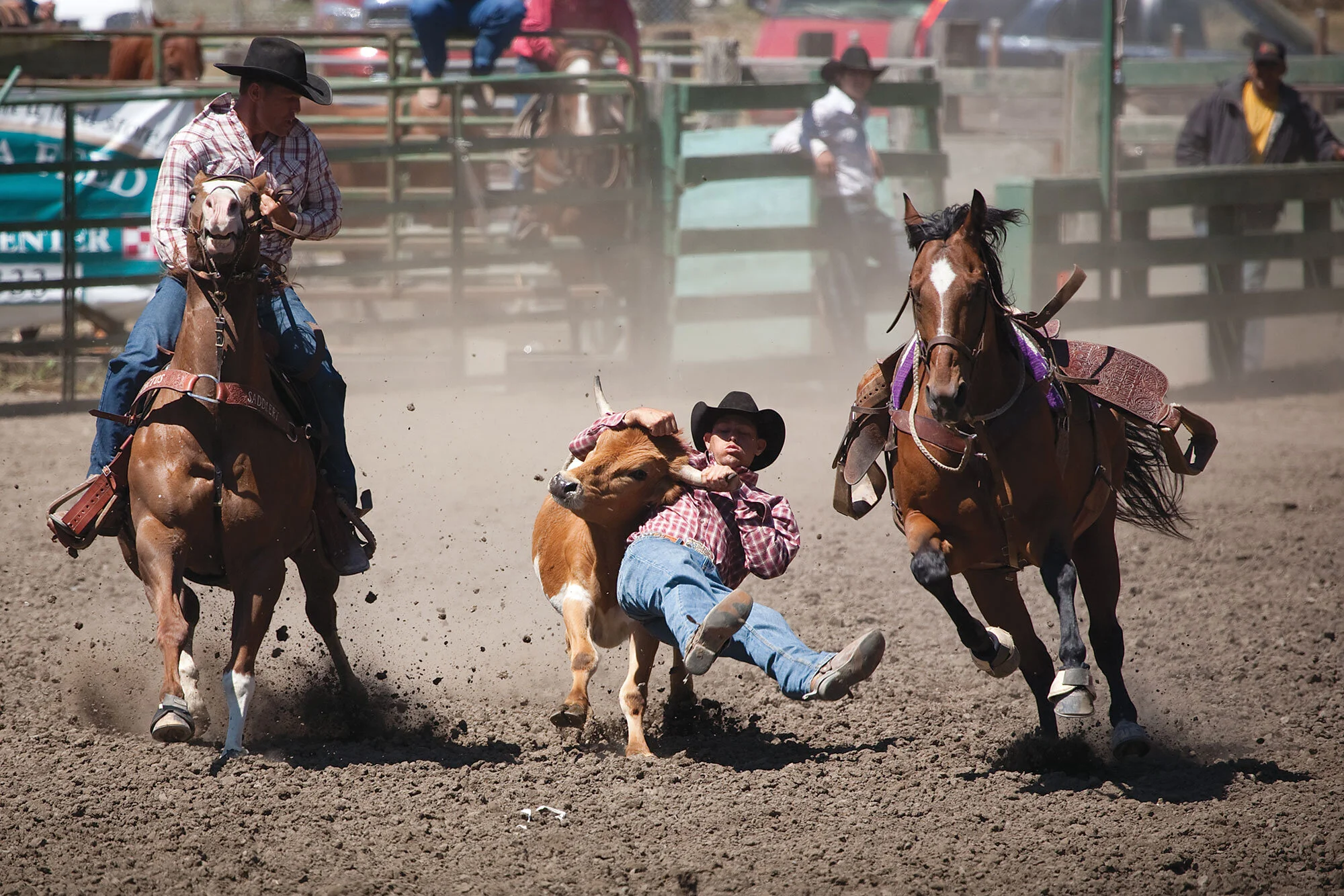 Fortuna California Events — Welcome To Sunny Fortuna!