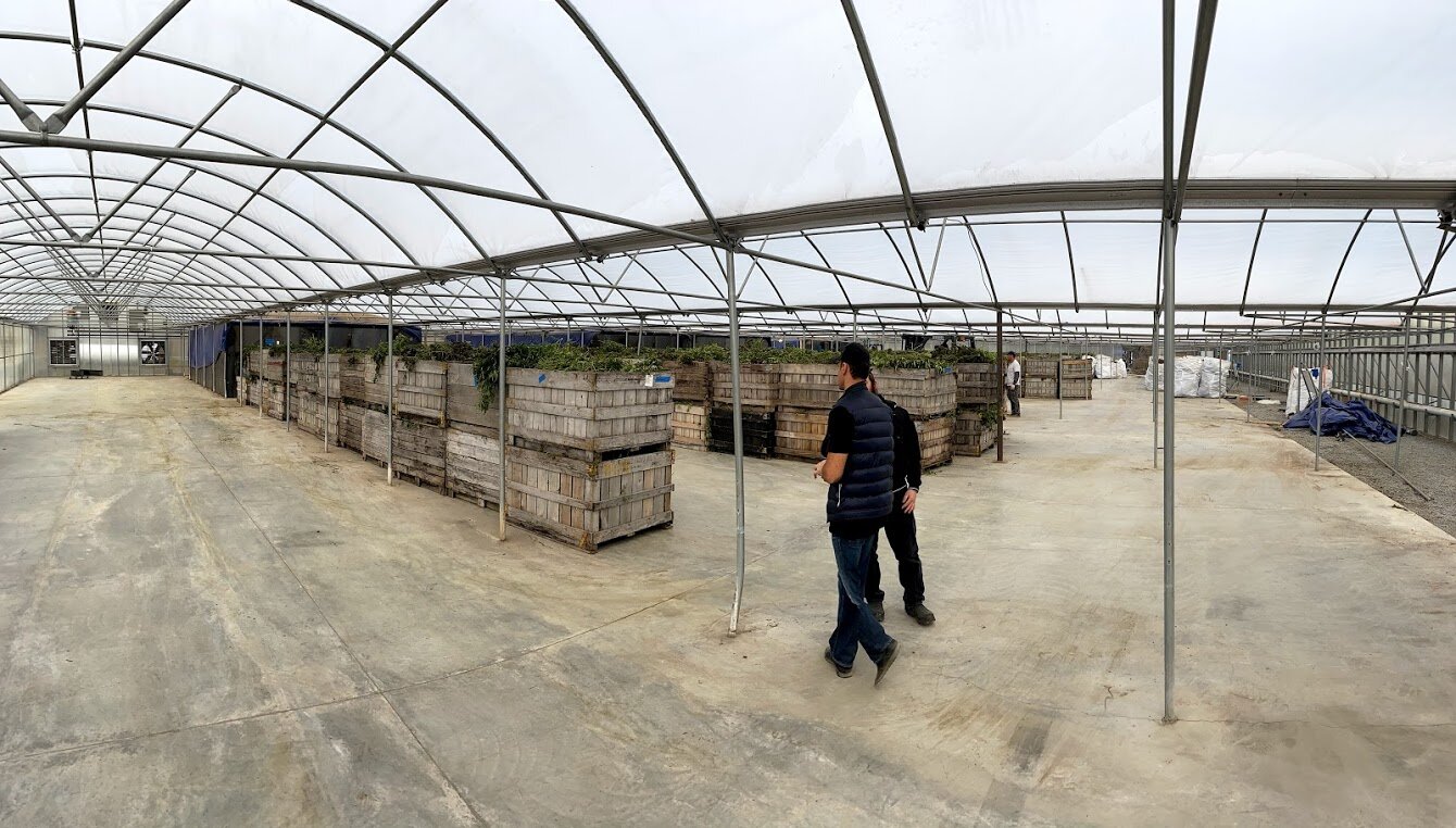 Hemp Cultivator Services | Hemp Farms of New York — Hemp Farms of NY