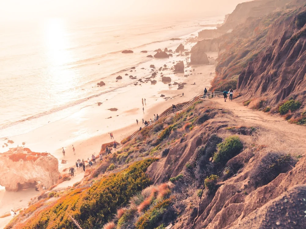 What's working? — Jenn Gallucci