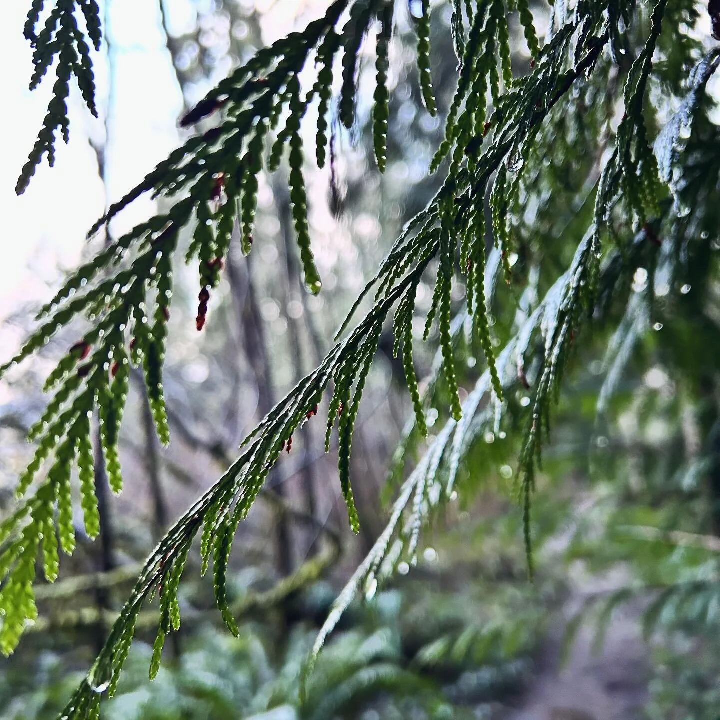 The Space In-Between — Jenn Gallucci