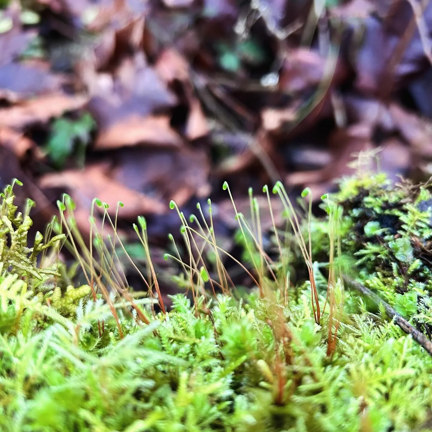 The Space In-Between — Jenn Gallucci