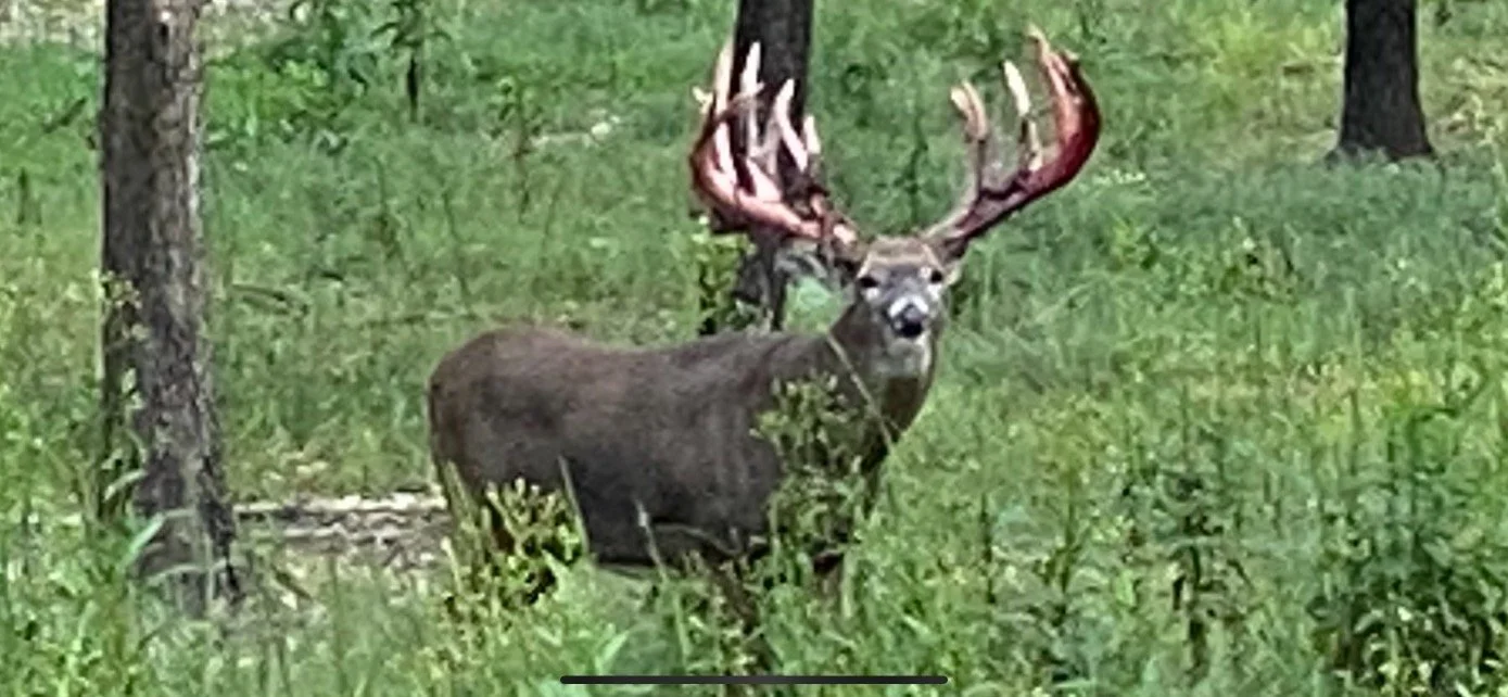 Pinnacle Ridge Whitetails - High Fence Hunting Lodge